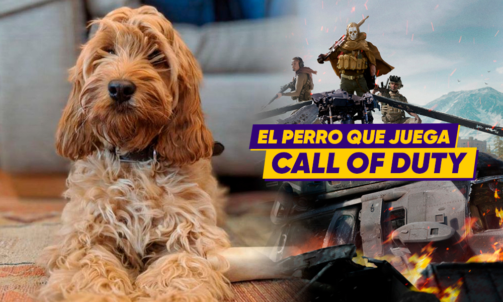 The Hive Gaming » Un youtuber le enseña a su perrita a jugar Call of ...